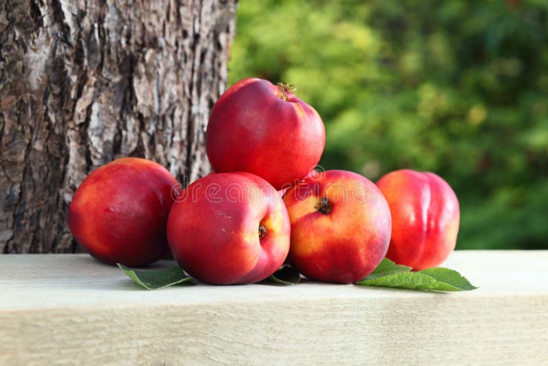 Ripe nectarines stock photo. Image of close, summer, crop - 15701756