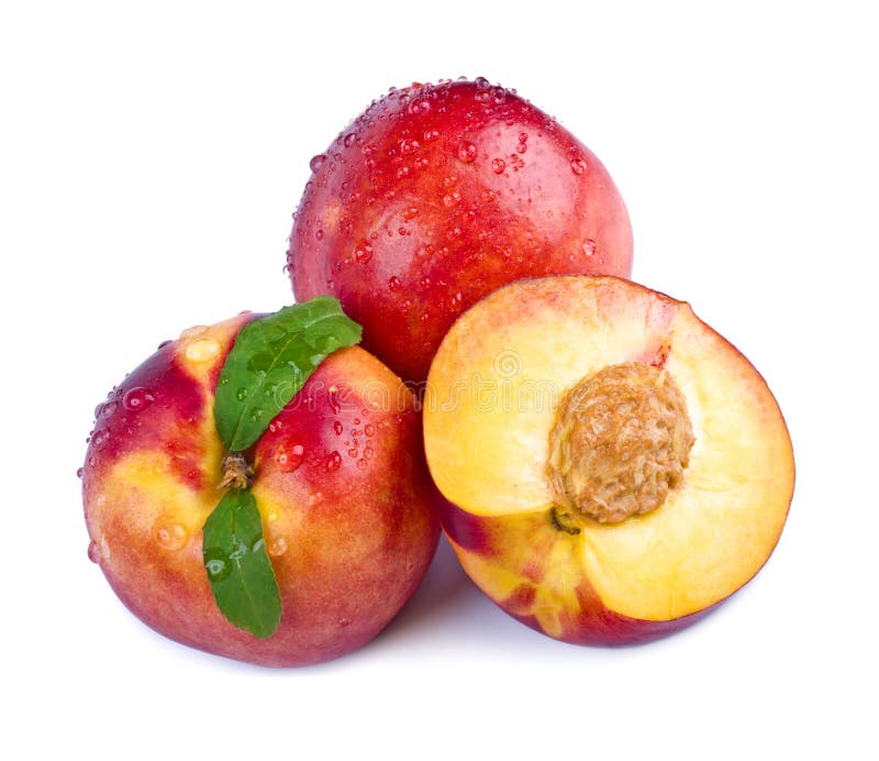 Ripe nectarines stock photo. Image of segment, healthy - 32781394