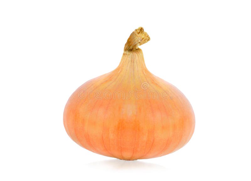 Ripe Onionson Stock Photos - Free & Royalty-Free Stock Photos from ...