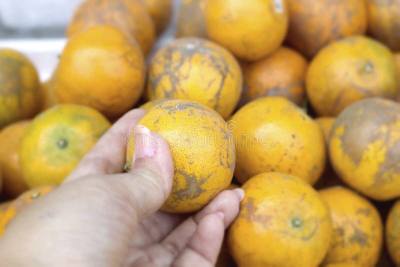 Ripe orange fruit stock image. Image of ripe, diet, sweet - 49496843