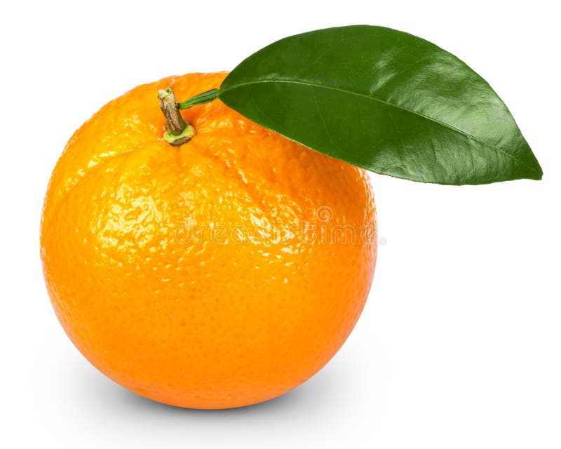 Ripe orange stock image. Image of detail, organic, isolation - 30958179