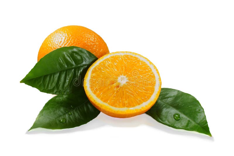 Ripe Oranges with Green Leaf. Stock Image - Image of clean, juice: 11666109