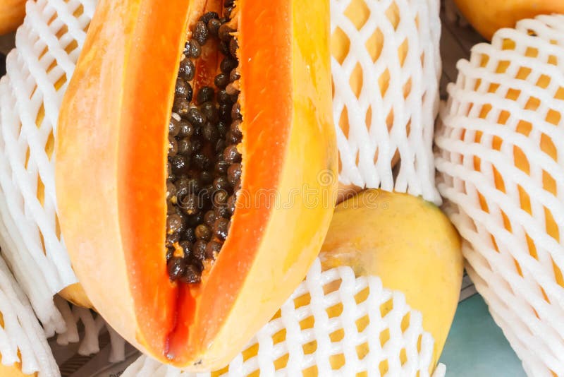 Ripe papayas isolated stock photo. Image of carica, papayas - 27188576