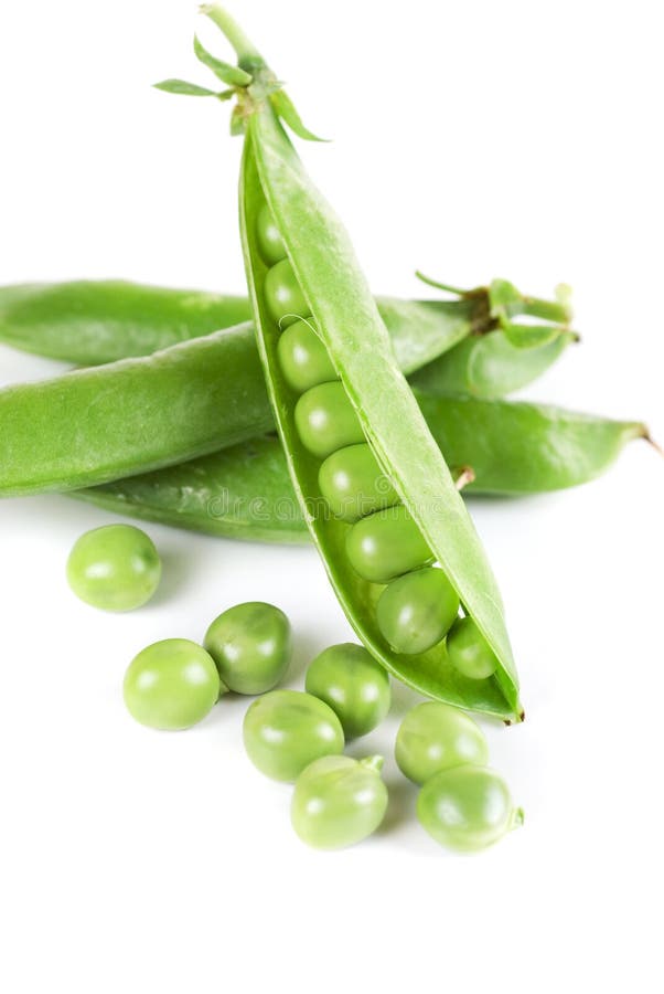 Pea Pod stock image. Image of sugar, snap, legume, healthy - 5556351