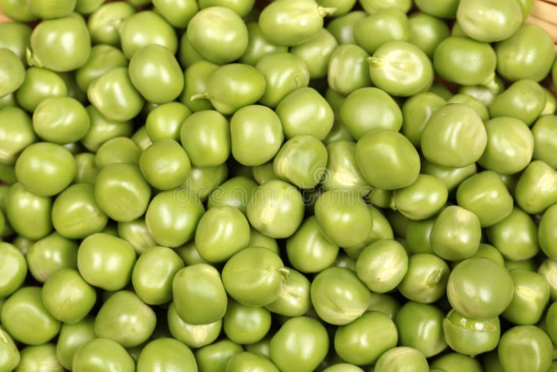 Ripe pea stock photo. Image of freshness, agriculture - 33590950