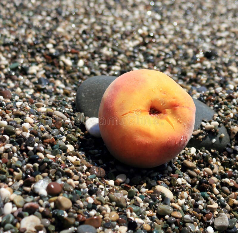 Ripe peach on the beach stock photo. Image of juicy, stone - 45168120