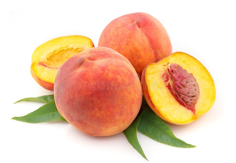 Peaches stock photo. Image of leaf, ripe, yellow, sweet - 57071046