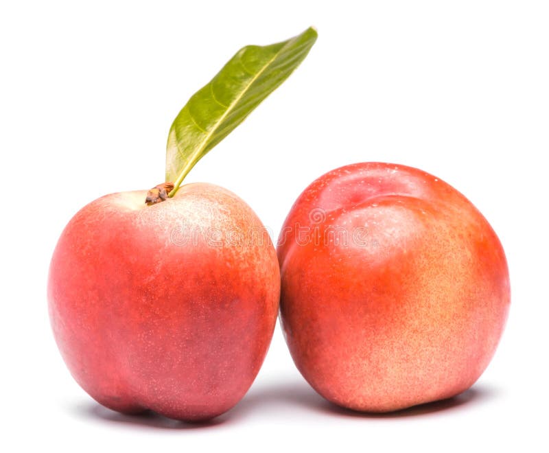 Ripe peach stock image. Image of edible, delicious, peel - 59054509