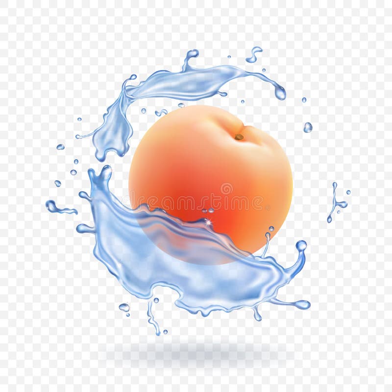 Peach Stock Illustrations – 62,809 Peach Stock Illustrations, Vectors ...