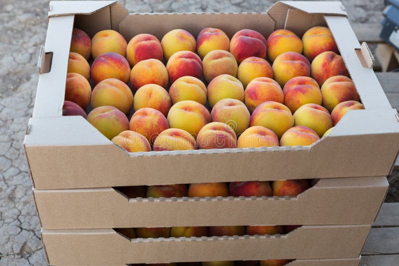 951 Peaches Boxes Stock Photos - Free & Royalty-Free Stock Photos from ...