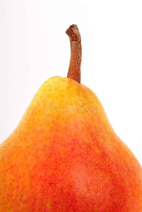 Ripe pear stock photo. Image of snack, glossy, stalk, ripening - 6243040
