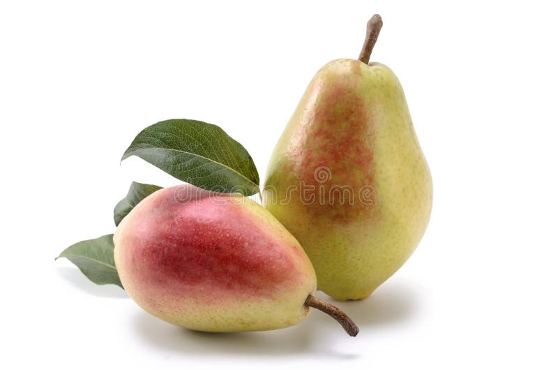 Ripe pear fruits stock image. Image of dessert, diet - 204320121