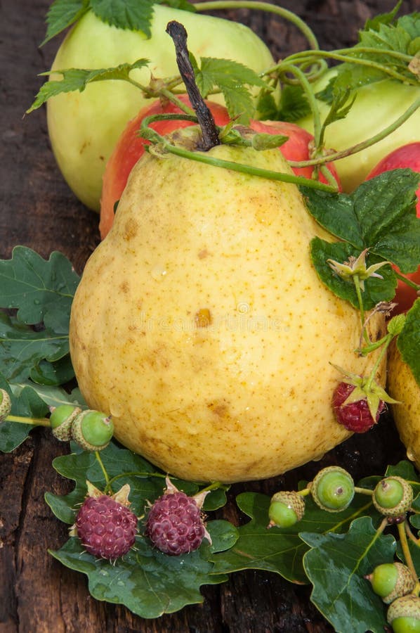 Ripe pear and raspberry stock photo. Image of dieting - 51492378