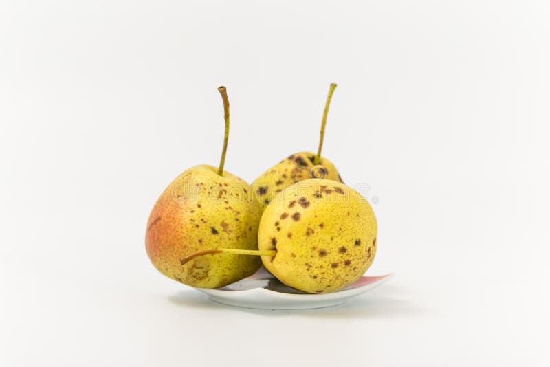 Ripe Pear of Winter Varieties on a White Background. Stock Image ...