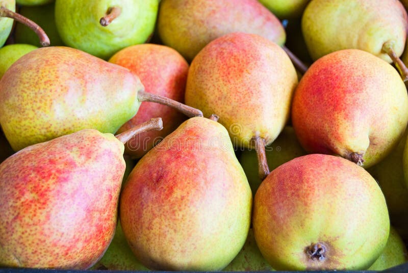 Ripe Pears stock image. Image of sweet, pile, nutritious - 19083783