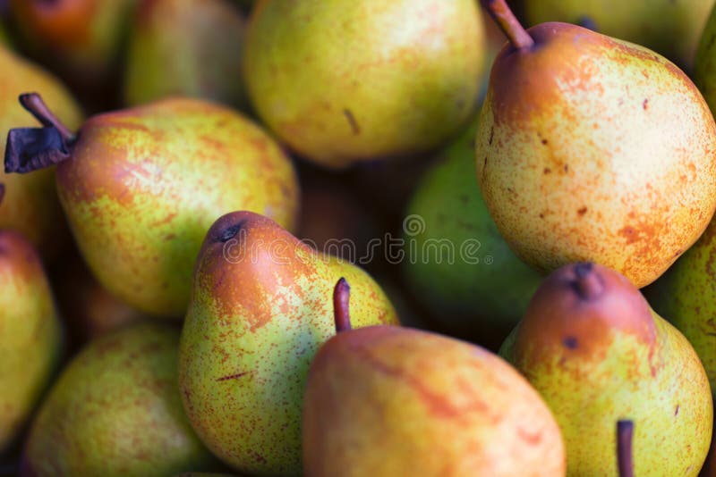 Ripe Pears stock image. Image of closeup, horizontal - 36859121