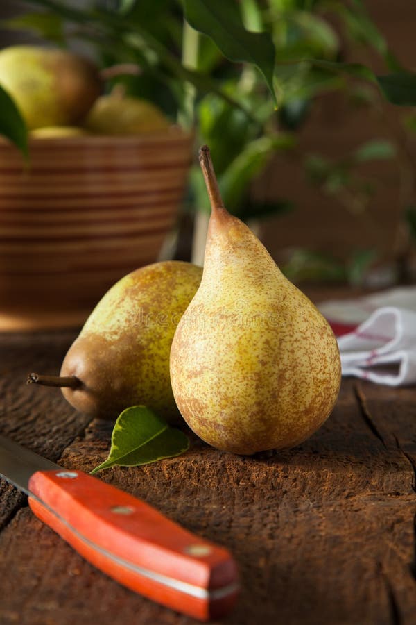 Ripe pears stock photo. Image of freshness, pear, morning - 39307682
