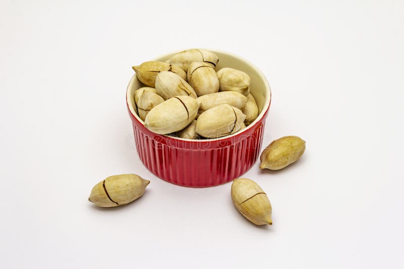 Ripe Pecan Isolated on White Background Stock Image - Image of candy ...