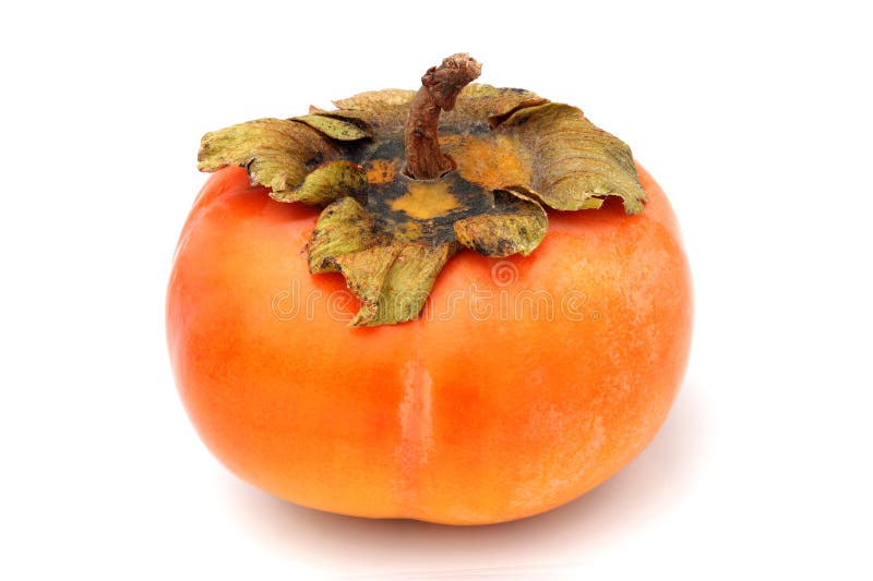 Ripe persimmon isolated. stock photo. Image of healthy - 114090764