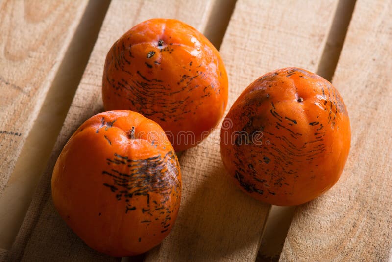 Ripe Persimmon of a Winter Crop Stock Photo - Image of persimmons ...