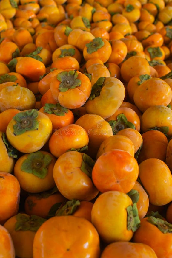 Ripe Persimmons stock image. Image of nature, china, cooking - 11541027