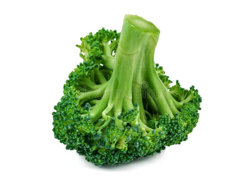 Ripe piece of broccoli stock photo. Image of isolated - 182136390