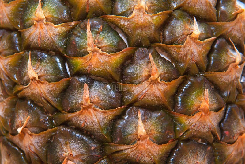 Ripe pineapple stock photo. Image of organic, freshness - 18129778