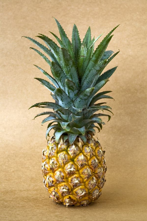 Ripe pineapple stock photo. Image of background, gourmet - 29874910