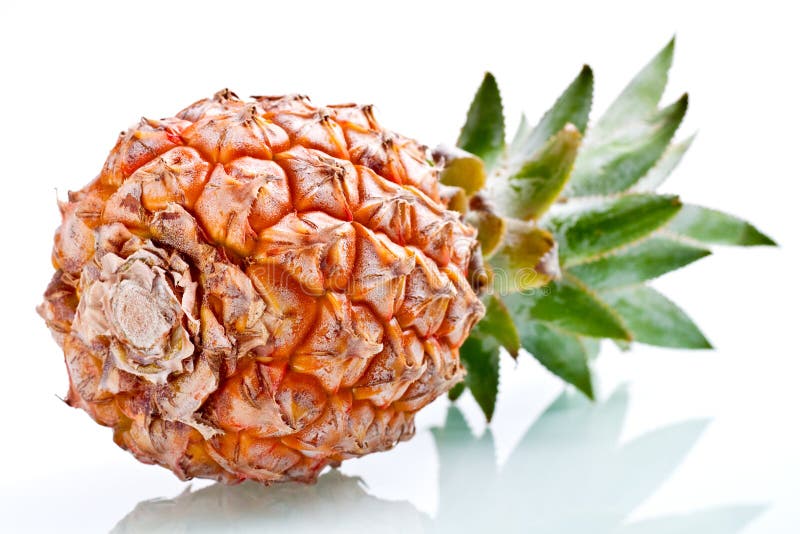 Ripe pineapple isolated stock image. Image of close, nutrient - 14460053