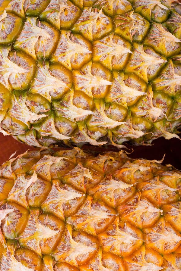 178 Green Pineapple Shell Texture Stock Photos - Free & Royalty-Free ...