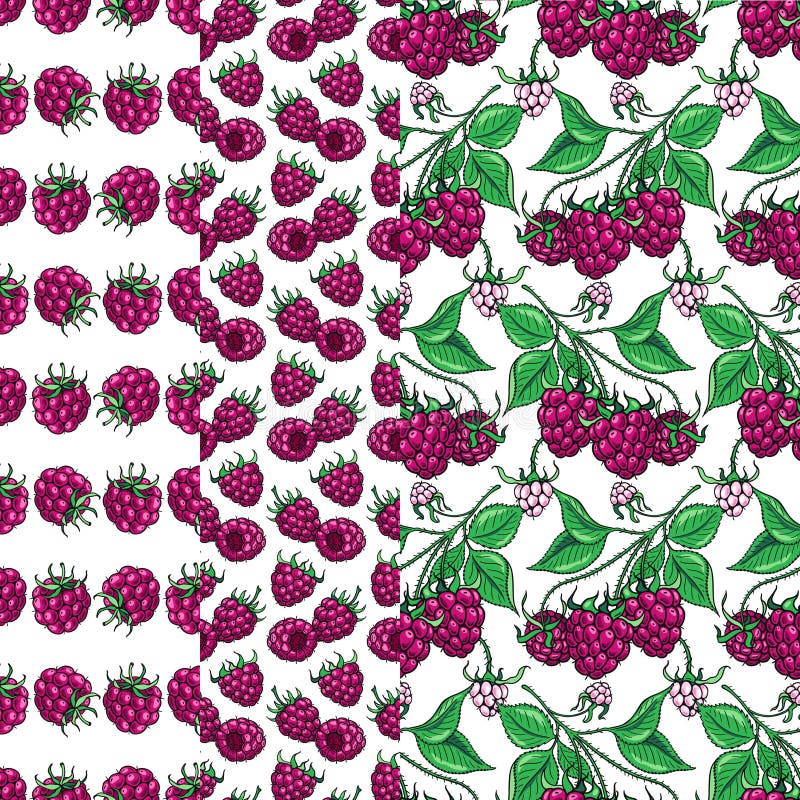 Ripe Pink Raspberries and Green Leaves. Set of Seamless Pattern Stock Vector - Illustration of ...