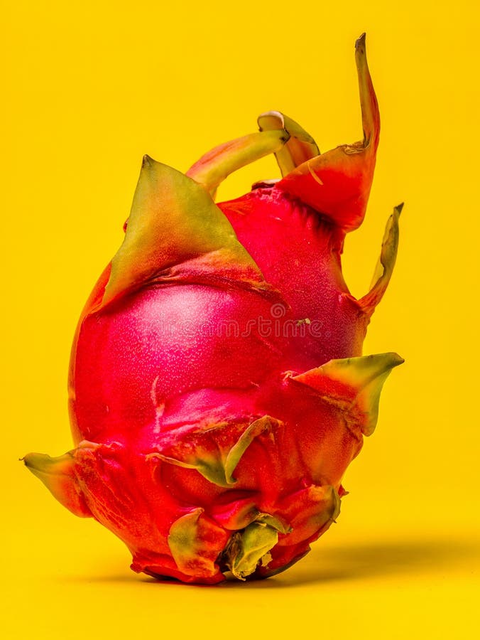 Pitaya Fruit stock image. Image of colour, pitaya, beautiful - 92442867