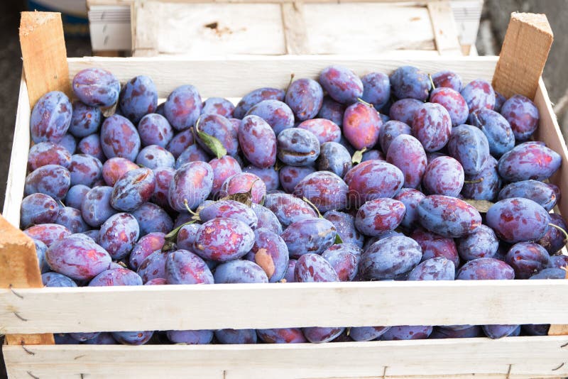 Ripe plum of the box stock photo. Image of organic, fruit - 100321020