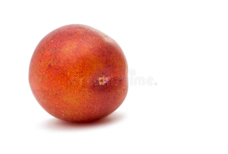Ripe plum isolated stock photo. Image of organic, healthy - 42914380