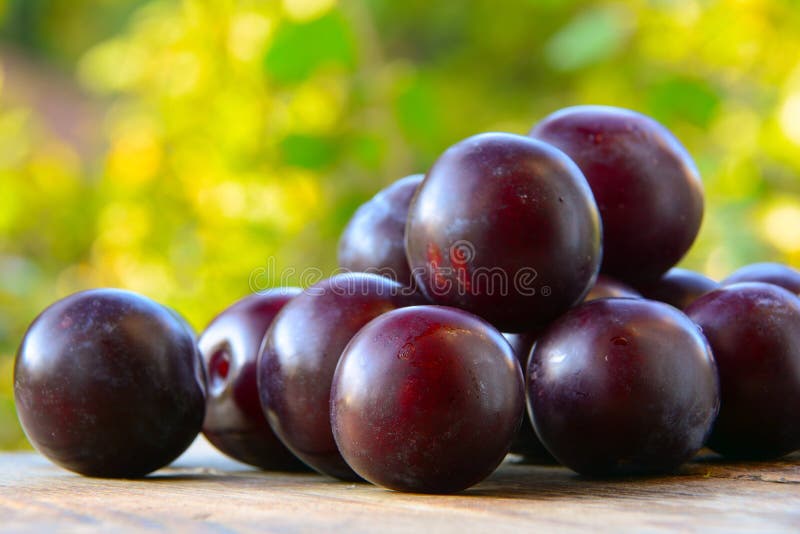 Ripe plum on table stock image. Image of leaf, bowl, space - 57030653