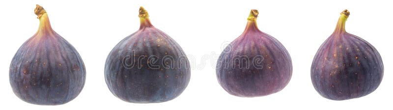 Ripe, Plump Figs Presenting Deep Purple Skin from Multiple Angles ...