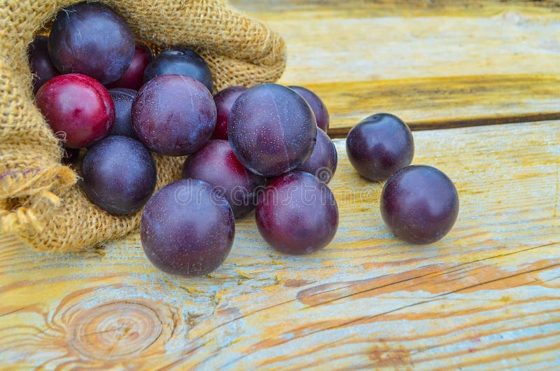 Ripe plums stock photo. Image of group, organic, natural - 66770228