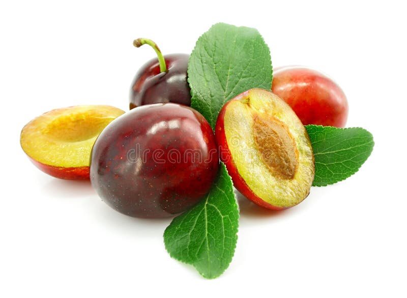 Plums stock photo. Image of white, fruit, prunus, nutritious - 2629838