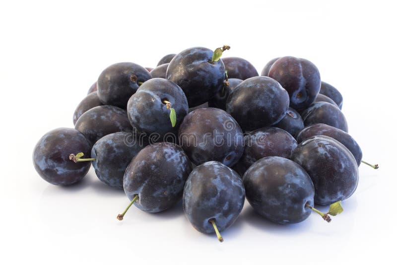 Ripe Plums Isolated on White Stock Photo - Image of dessert, purple ...