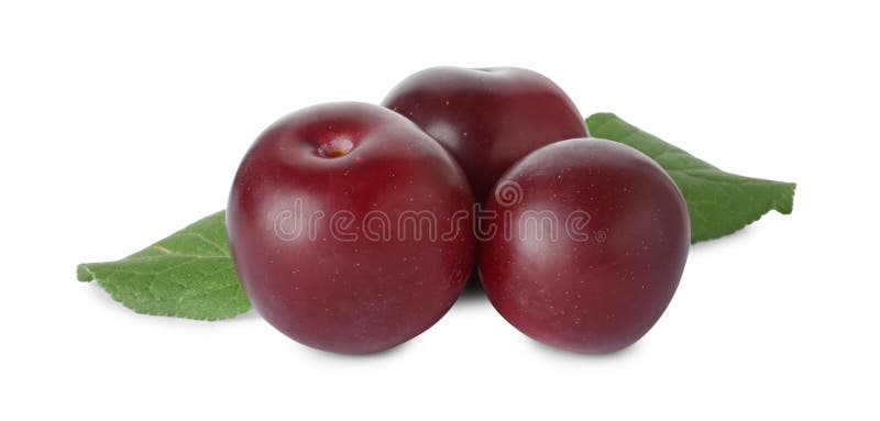 Ripe Plums with Leaves Isolated on White Stock Photo - Image of ...
