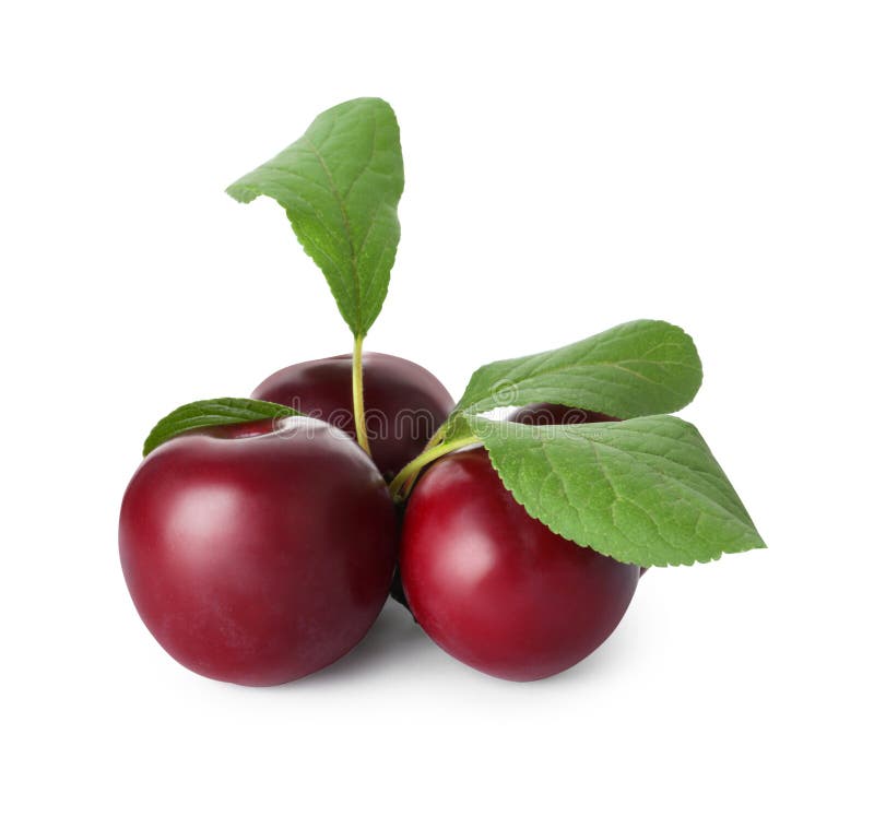 Ripe Plums with Leaves Isolated on White Stock Image - Image of ...
