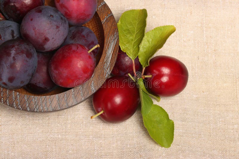 Ripe plums stock image. Image of nucleus, healthy, fruit - 190250841
