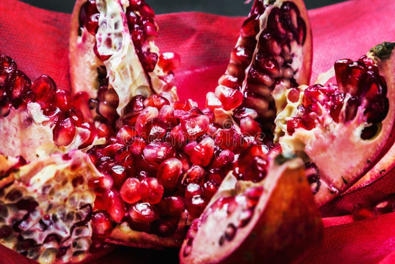 Maroon Fruit Clusters in the Leafage of Vinegar Tree Stock Image ...