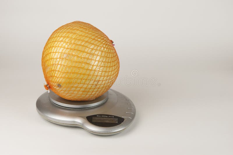 Pomelo fruit stock photo. Image of peel, netting, protective - 28682062