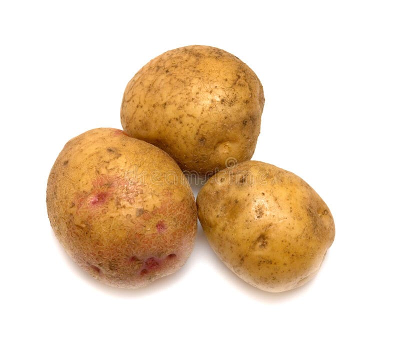 Ripe potatoes stock photo. Image of objects, groceries - 12331874