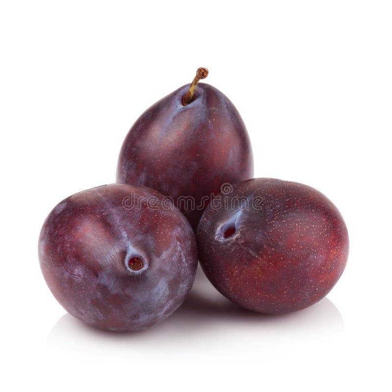 30,543 Prune Photos - Free & Royalty-Free Stock Photos from Dreamstime