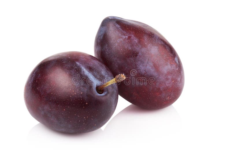 Ripe Prune or Plum Isolated on a White Background Stock Image - Image ...