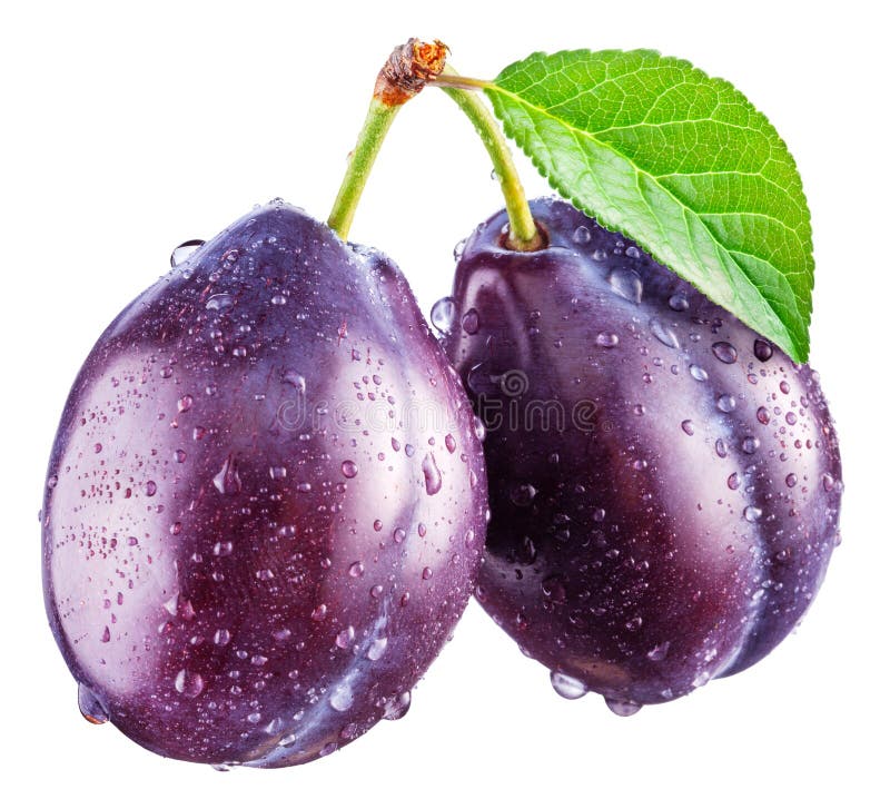 Ripe Prune Plums Covered Water Drops White Background Clipping Path ...