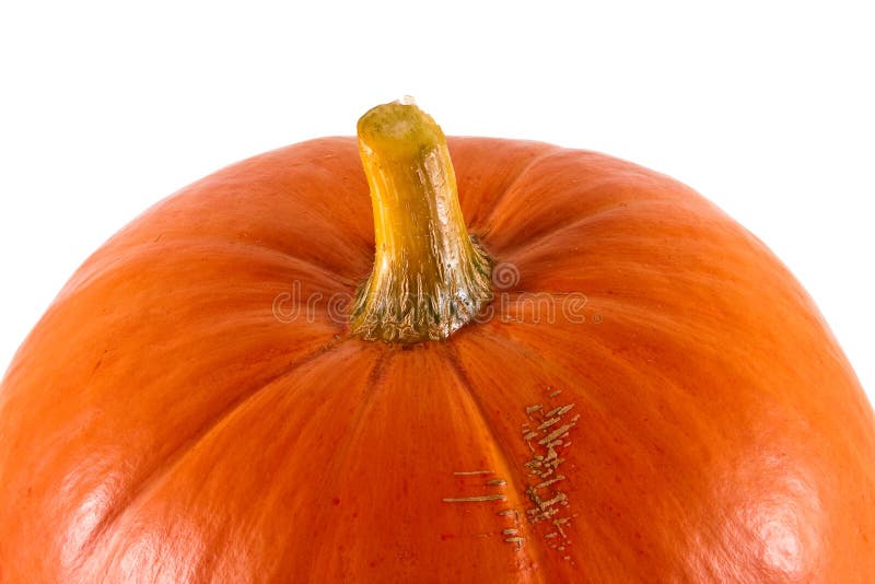 Ripe pumpkin stock image. Image of harvesting, agriculture - 15930803