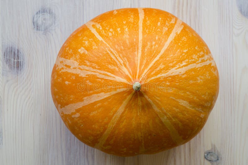Ripe pumpkin stock image. Image of vintage, detail, yellow - 34264433
